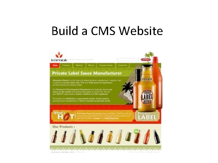 Build a CMS Website The topics this chapter