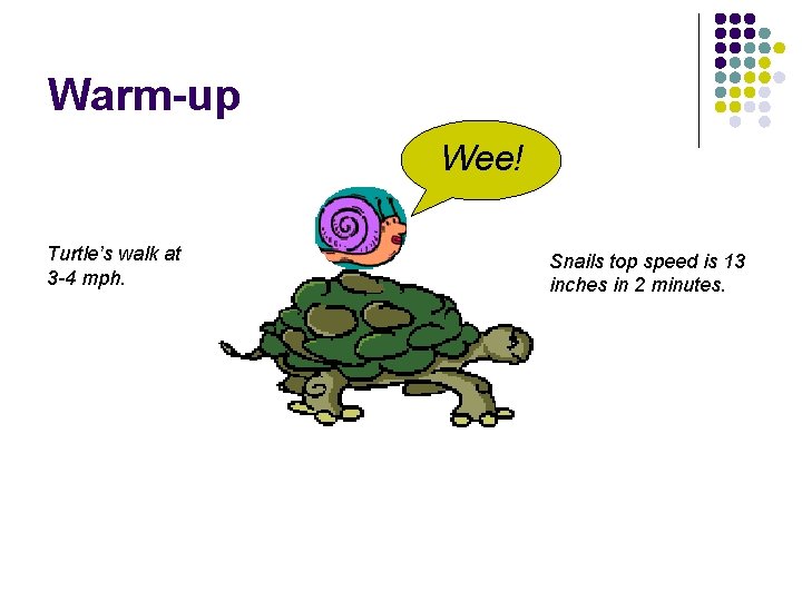 Whats wrong with this picture Warmup Wee Turtles