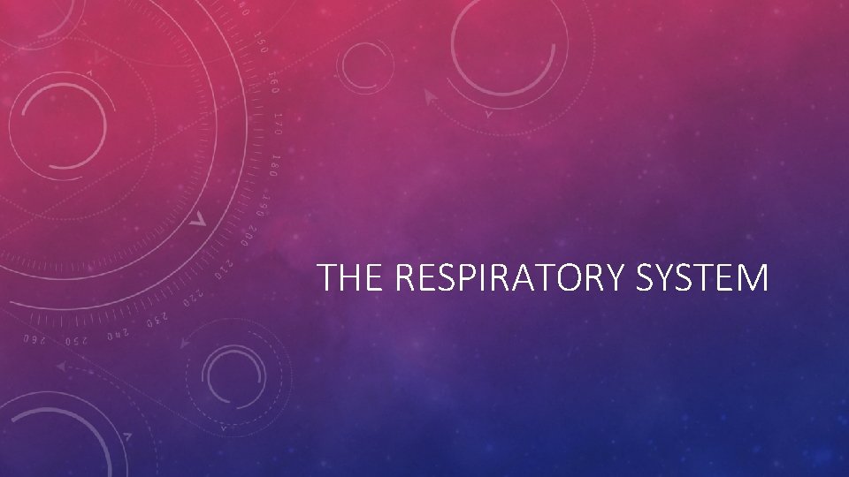 THE RESPIRATORY SYSTEM THE RESPIRATORY SYSTEM In this