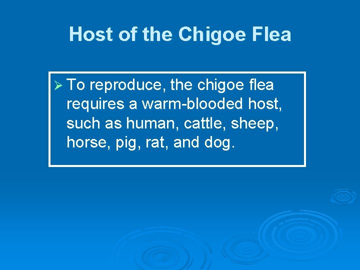 Tungiasis SRU Tungiasis Tungiasis is an infestation of