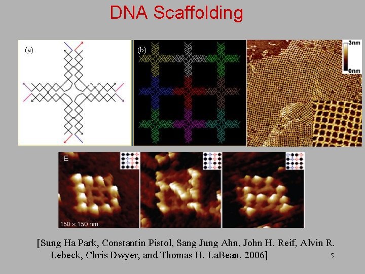 Complexities for the Design of SelfAssembly Systems May