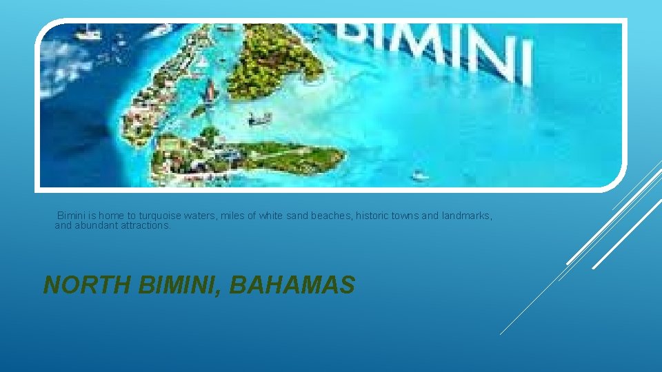 NORTH BIMINI BAHAMAS VACATION Tina Gibson Vacation Planner