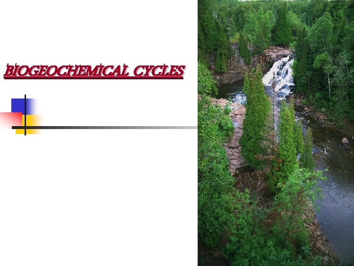 BIOGEOCHEMICAL CYCLES Definition Biogeochemical cycle is defined as