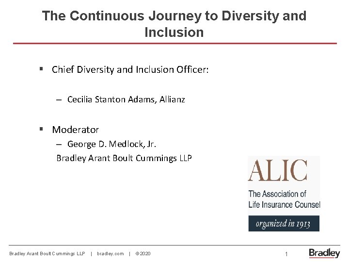 The Continuous Journey to Diversity and Inclusion Chief