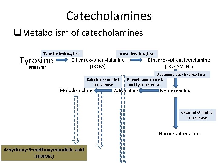 Clinical chemistry Metabolic effects of tumours Mohammed AlZubaidi