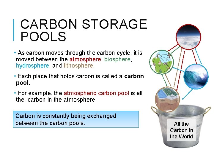 THE CARBON CYCLE What goes around comes around