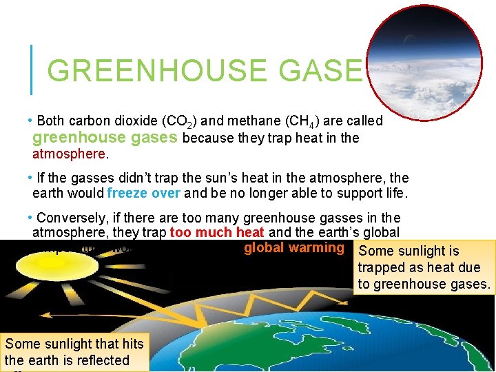 THE CARBON CYCLE What goes around comes around