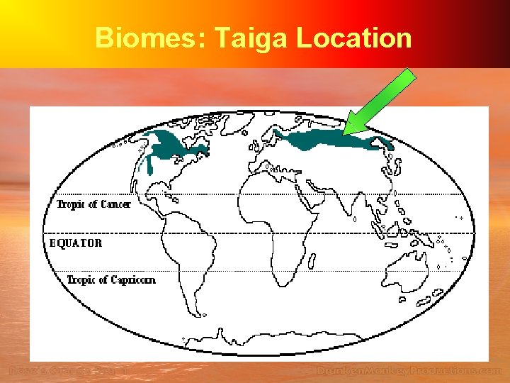 Region of the biosphere that has similar communities