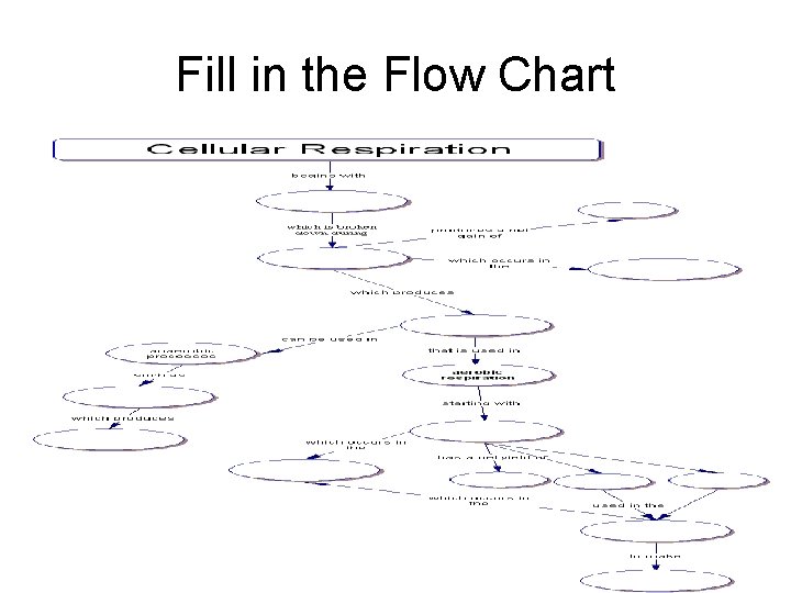 Cellular Respiration How do all living organsims make