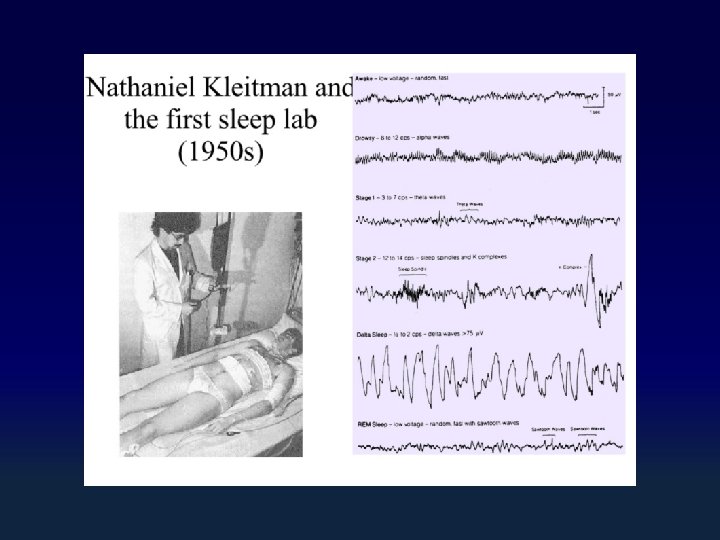 Introduction to Sleep Biology Lecture 22 Christophe P
