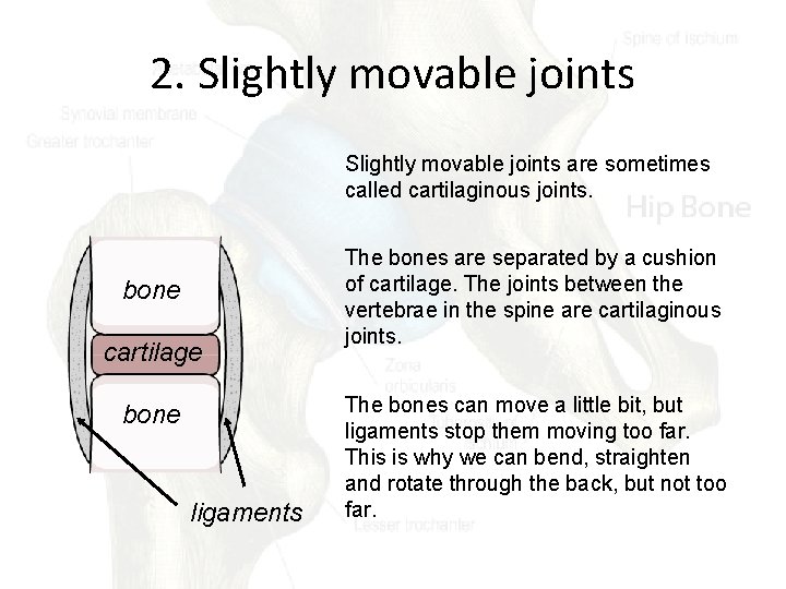 Unit 1 Types of Joints Learning Objectives All