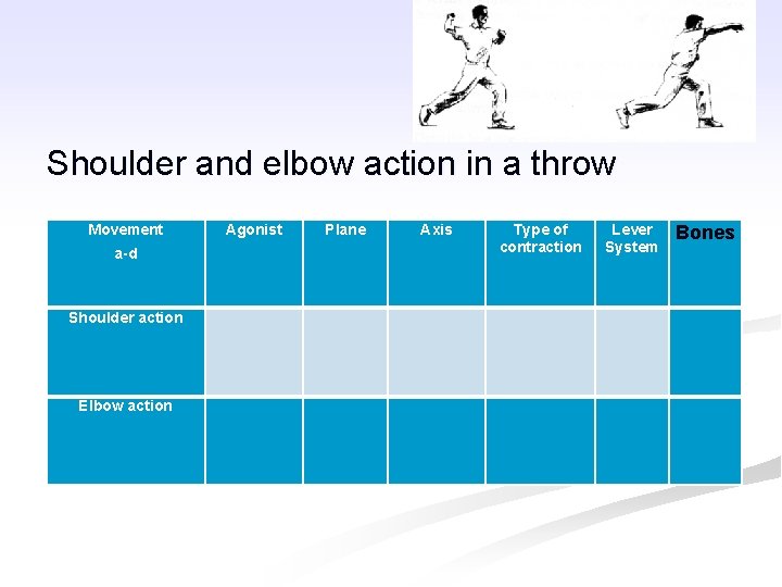 Group Task 1 n n Produce bite size