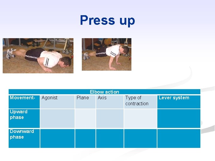 Group Task 1 n n Produce bite size