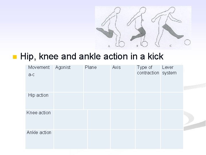 Group Task 1 n n Produce bite size
