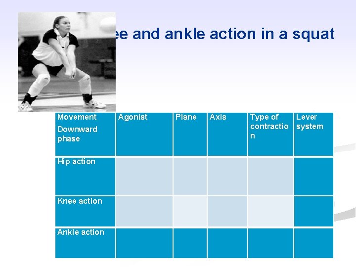 Group Task 1 n n Produce bite size