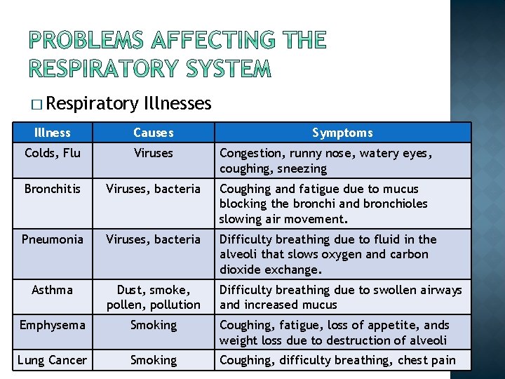 RESPIRATORY SYSTEM contains organs that supply your blood