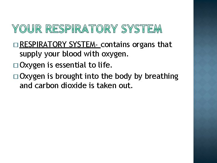 RESPIRATORY SYSTEM contains organs that supply your blood