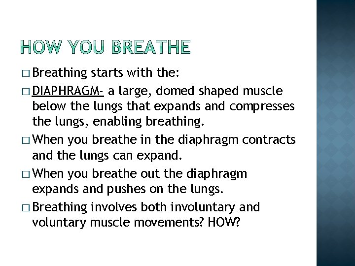 RESPIRATORY SYSTEM contains organs that supply your blood