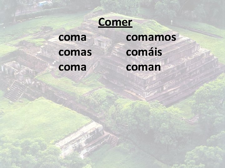 Forming the Present Subjunctive To conjugate regular verbs
