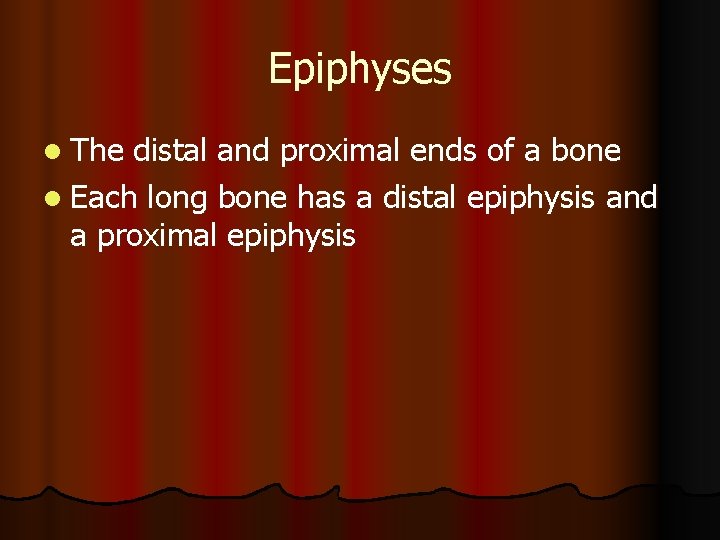 Skeletal Tissue Structure of Bones Parts of a
