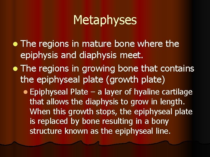 Skeletal Tissue Structure of Bones Parts of a