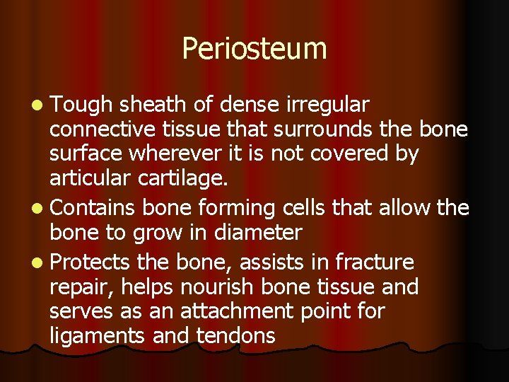 Skeletal Tissue Structure of Bones Parts of a