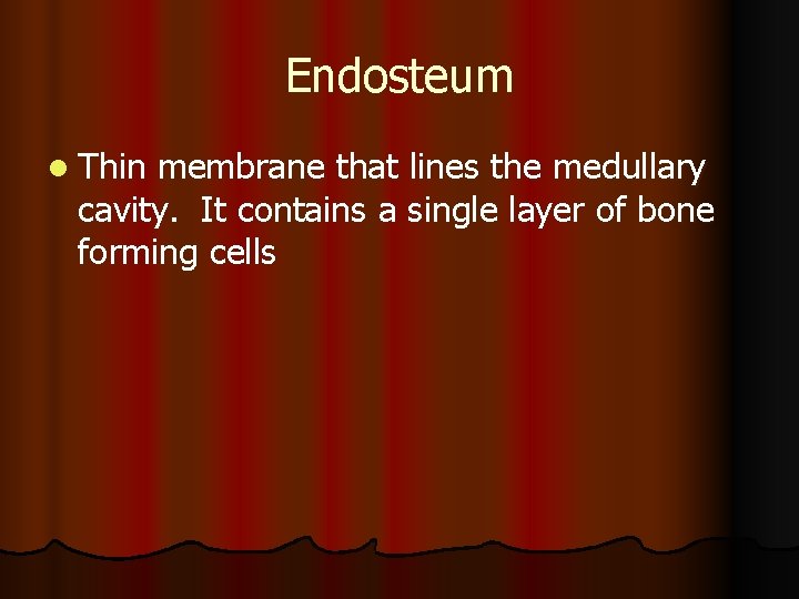 Skeletal Tissue Structure of Bones Parts of a