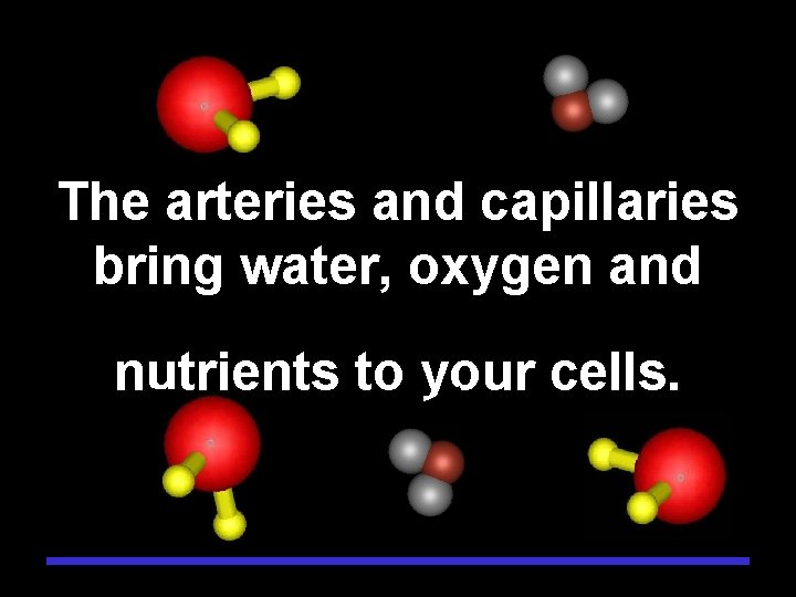 Circulatory System The circulatory system moves blood from