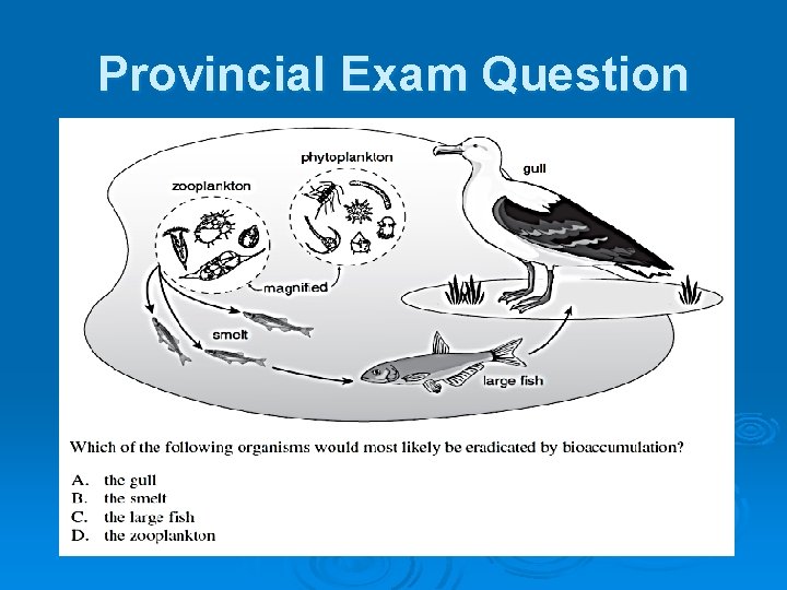 2 3 Effect of Bioaccumulation on Ecosystems Amphibians