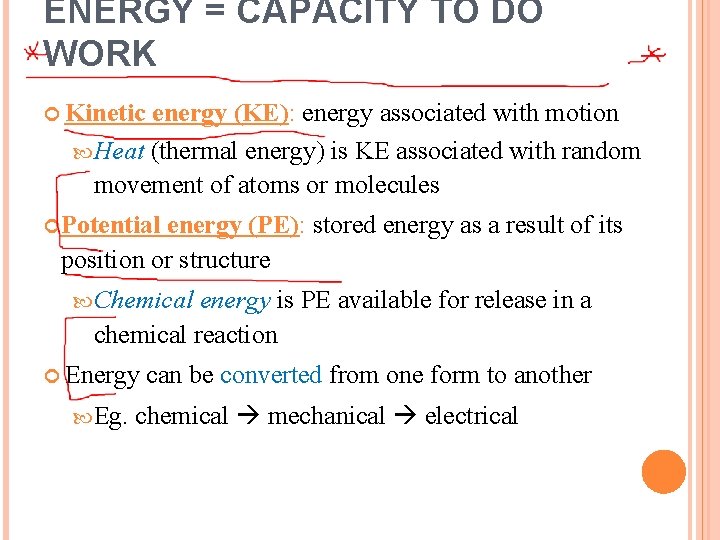 CHAPTER 6 An Introduction to Metabolism WHAT YOU