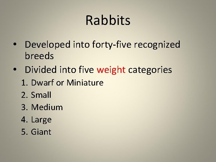 Laboratory rabbit Dep laboratory animal science Dr kourosh