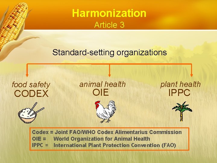 SPS Issues for Indian Agricultural Exports Tamanna Chaturvedi