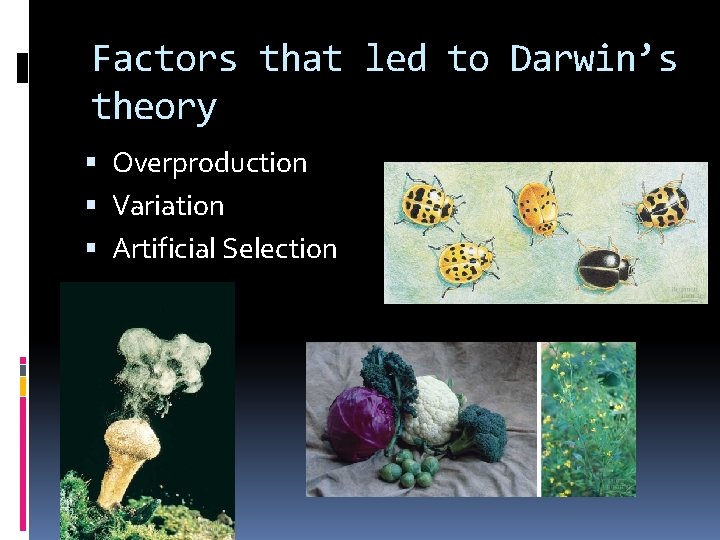 Natural selection is a major mechanism of evolution