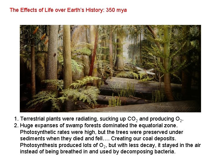 THE EARTH IS A LIVING PLANET IT BREATHES