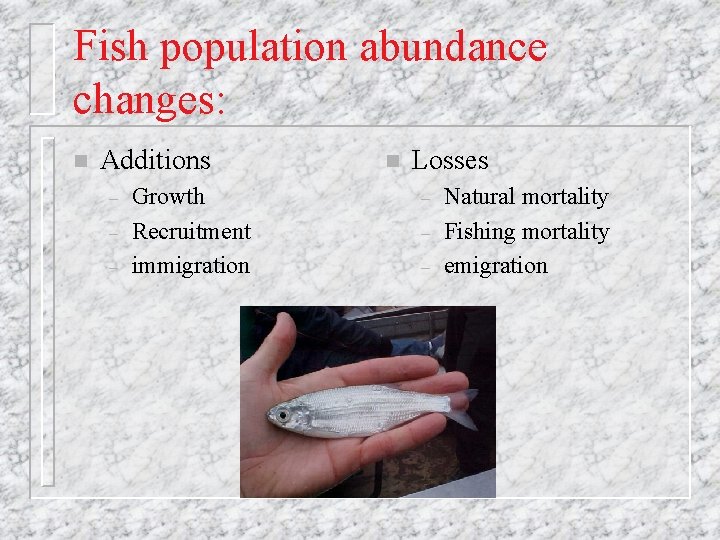 Fishery Biology Fisheries Management Provide people with a