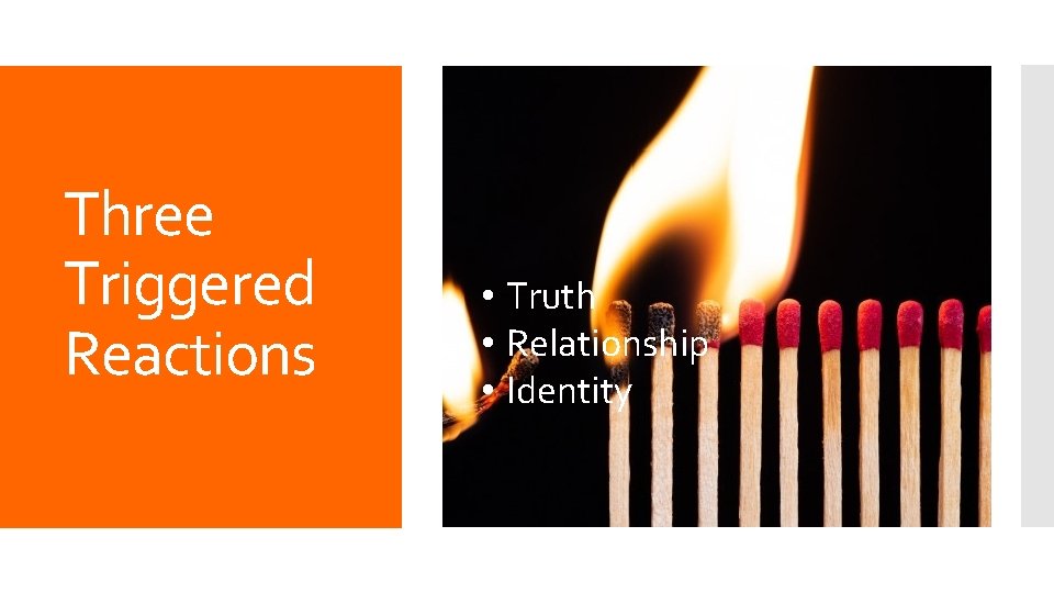 Thank s for the Feedb ack THE SCIENCE