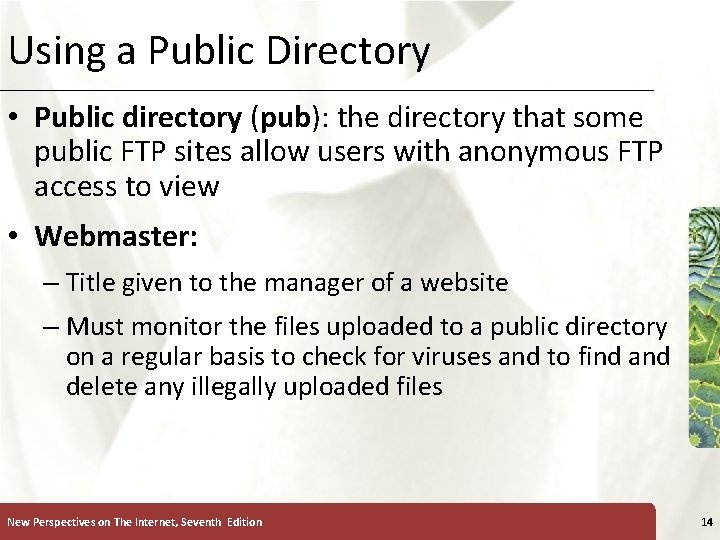 Tutorial 11 Special Adapted Downloading and Storing Data