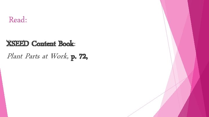 Plant Parts at Work Block 9 Lesson 4