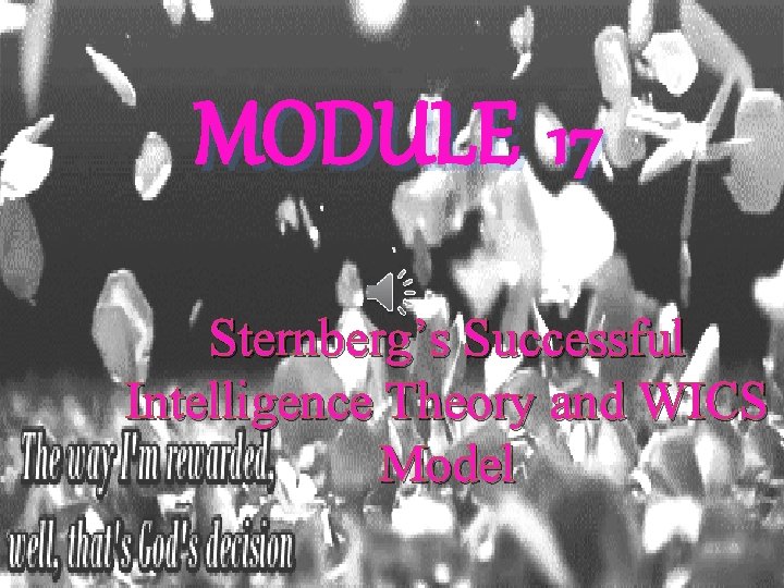 MODULE 17 Sternbergs Successful Intelligence Theory and WICS
