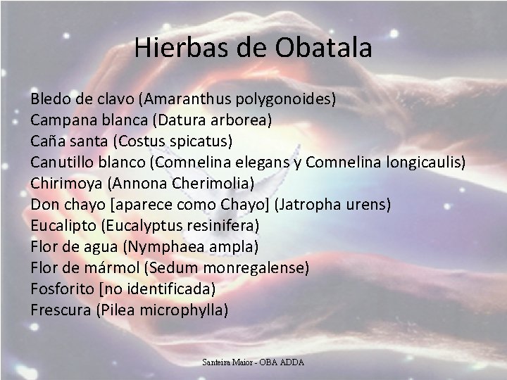 Hierbas de Oshas y Orishas Santeira Maior OBA