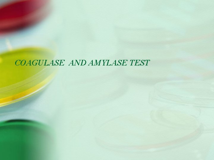 COAGULASE AND AMYLASE TEST INTRODUCTION Coagulase test is