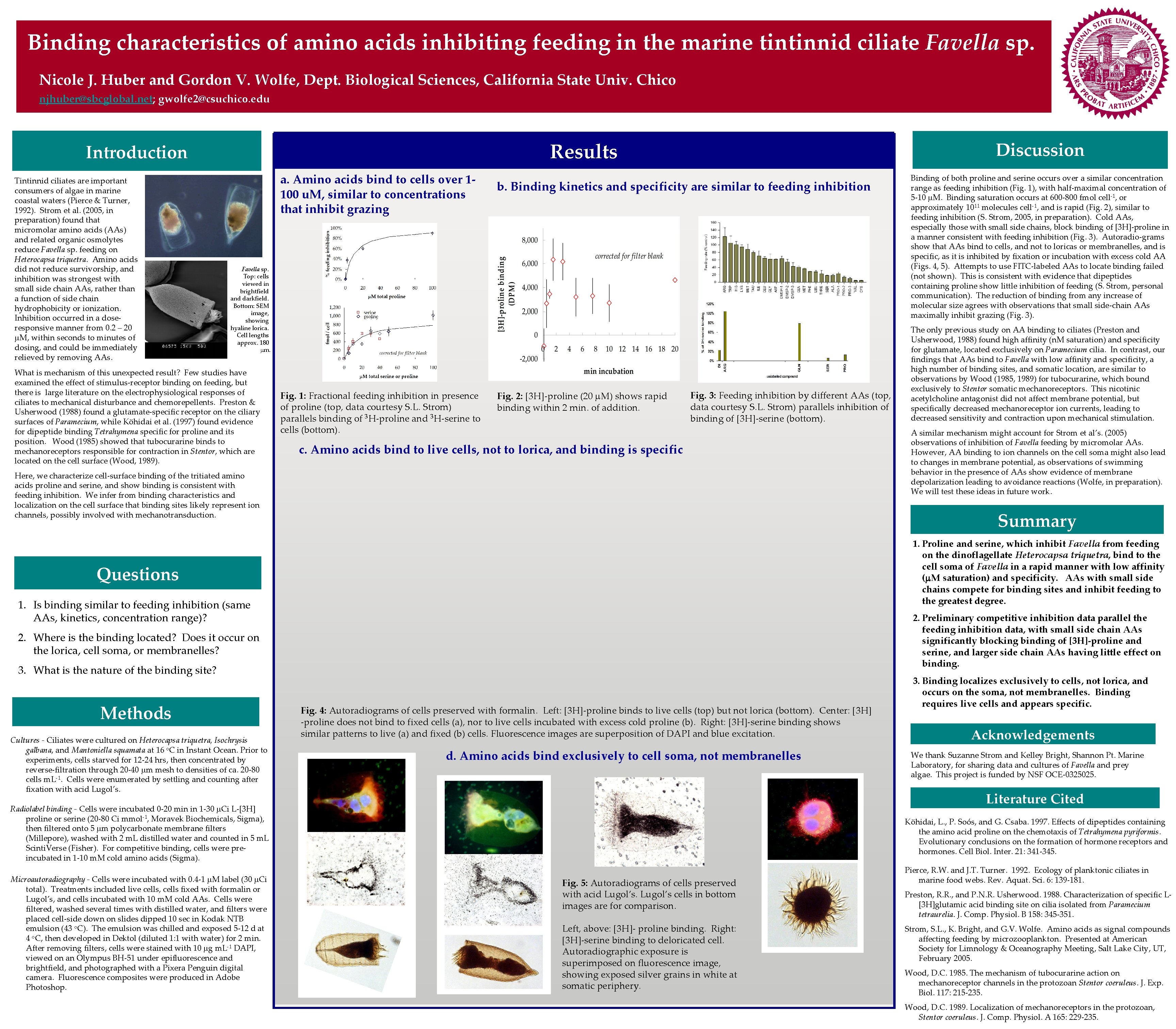 Binding characteristics of amino acids inhibiting feeding in