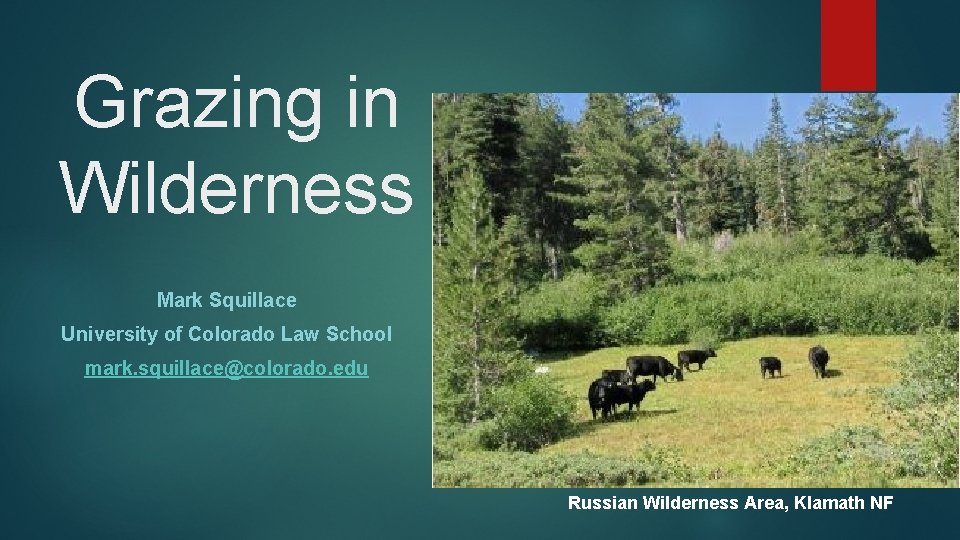 Grazing in Wilderness Mark Squillace University of Colorado