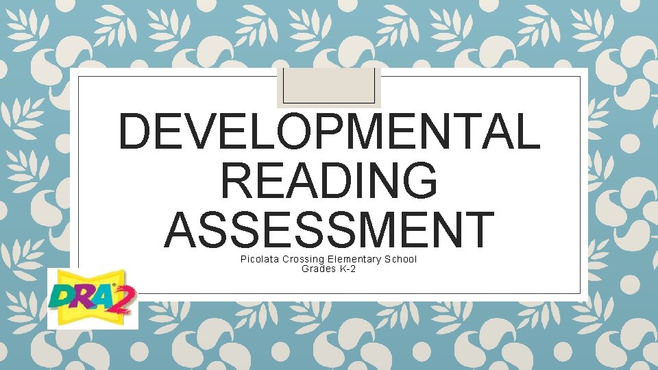 DEVELOPMENTAL READING ASSESSMENT Picolata Crossing Elementary School Grades