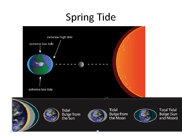 Tides Does the Moons gravity affect Earth The