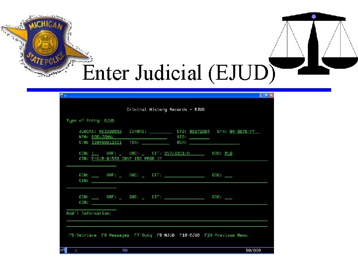 AUTOMATED COURT REPORTING FOR CRIMINAL HISTORY RECORDS INTRODUCTION