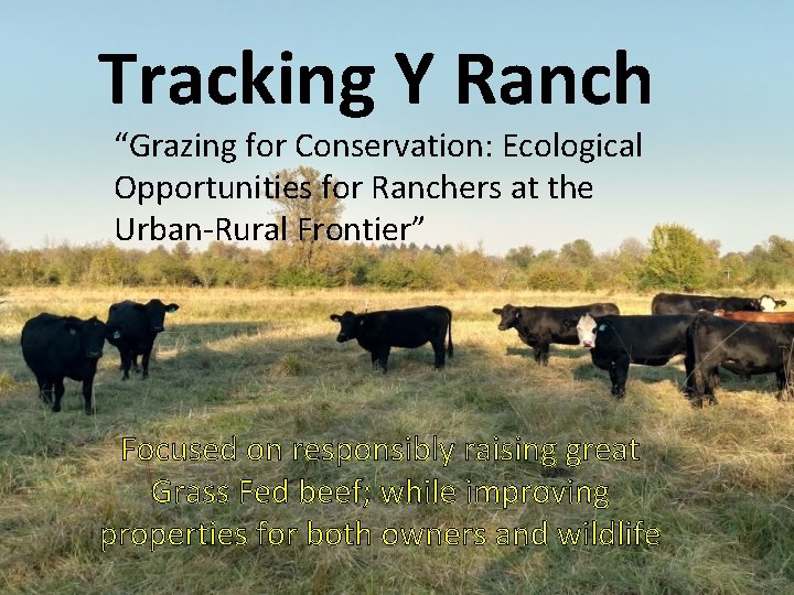 Tracking Y Ranch Grazing for Conservation Ecological Opportunities