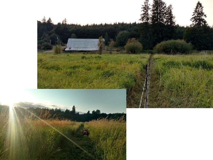 Tracking Y Ranch Grazing for Conservation Ecological Opportunities