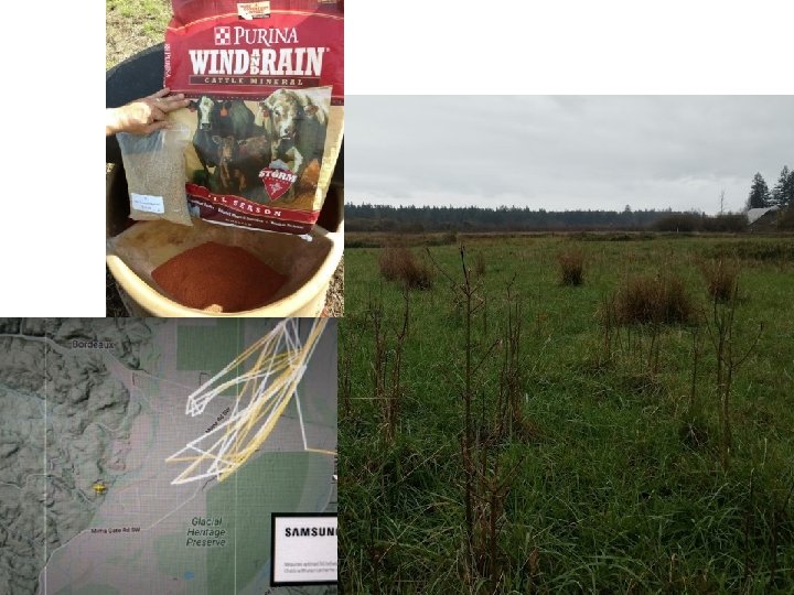 Tracking Y Ranch Grazing for Conservation Ecological Opportunities