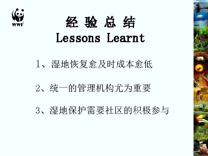 WWF Who What Created in 1960 The world